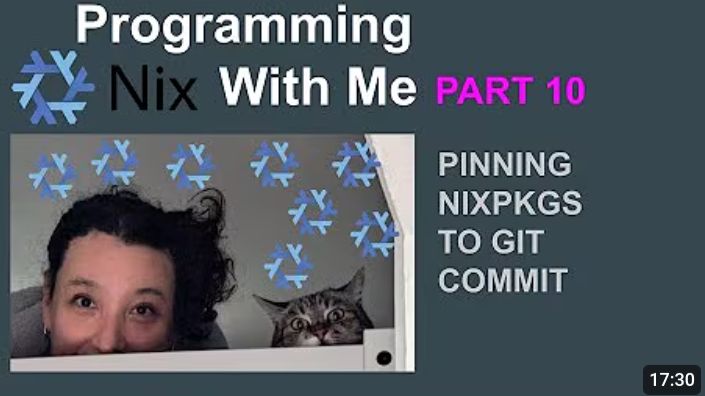 Learn Together Nix Programming | Part 10 - Towards reproducibility: pinning Nixpkgs