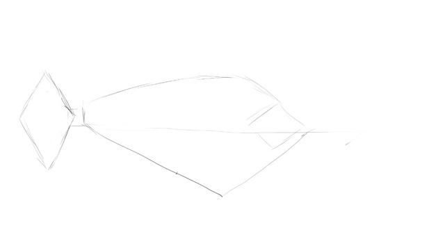 №3 (веерохвостый спинорог)