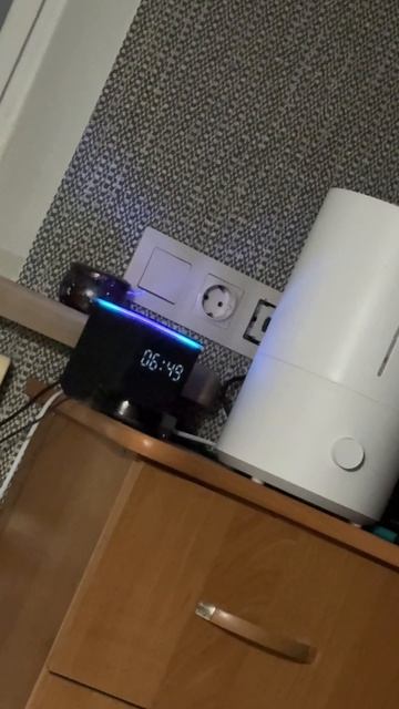 Алиса выбирает на чем мне поехать на работу 🚘