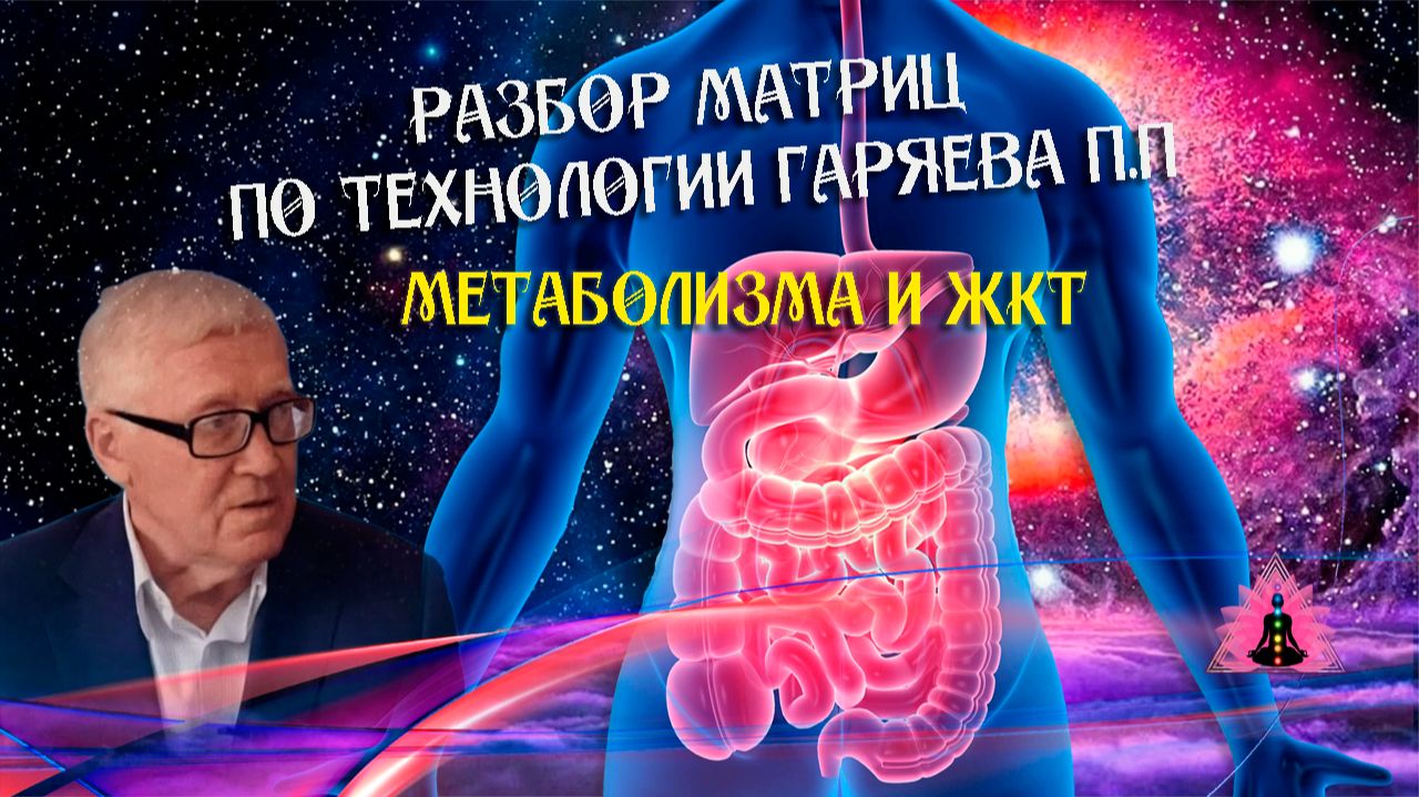 Расшифровка матриц метаболизма и ЖКТ