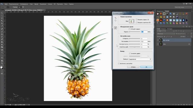 Урок № 2 от Ирины Выделяем ананас в Photoshop
