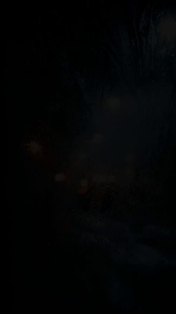 Ёлка сл А Фоминых