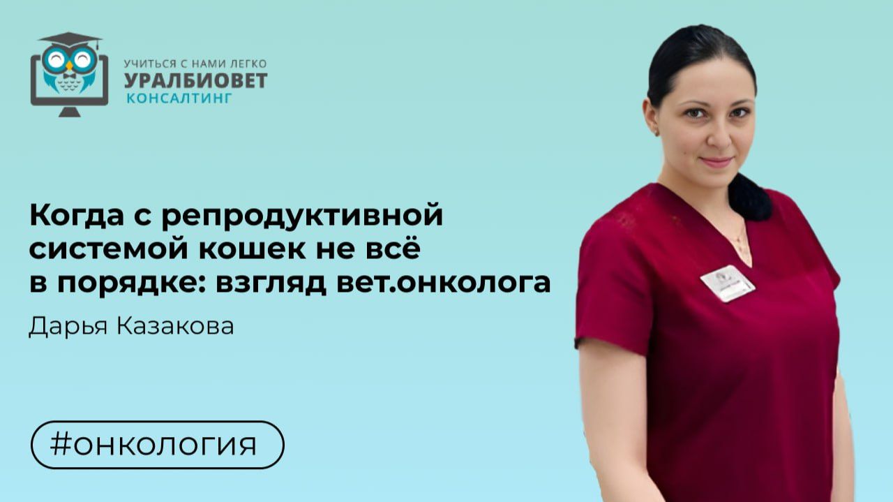 Когда с репродуктивной системой кошек не всё в порядке: взгляд вет.онколога. Лектор Дарья Казакова