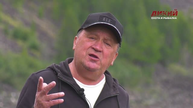 Песня «Я надену кепку и уйду» из цикла «В дикие нехоженые дали»