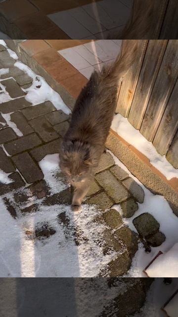 Дождалась…