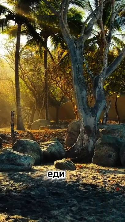 Не забуду я тебя - Andru Tu #музыка #премьераклипа #мот #джони #pro #этолюбовь #macan #сатиказанова