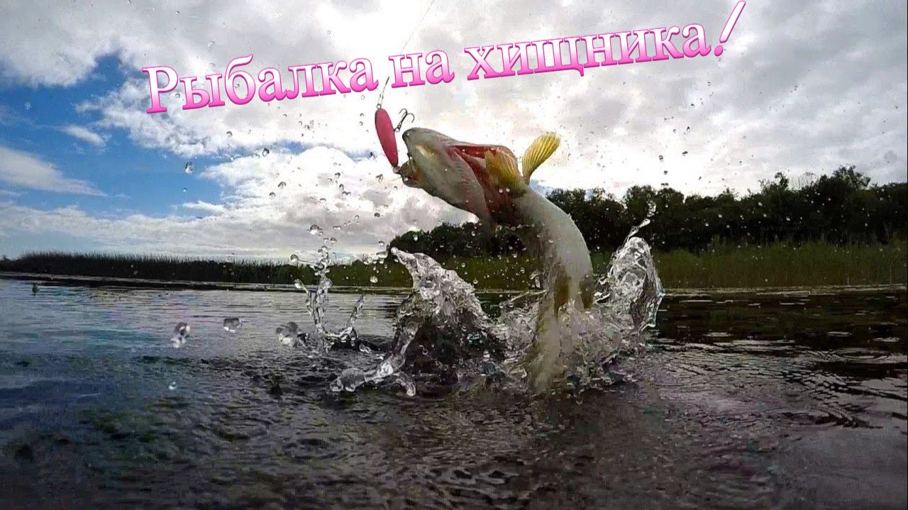 Ловля щук на спиннинг и кружки!