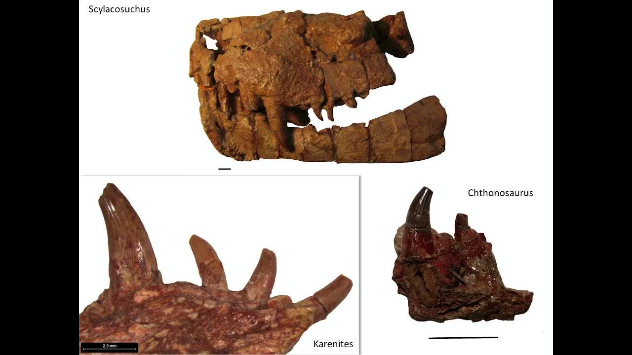 ПАЛЕОСТРАТ-2026 - День второй (третья часть)