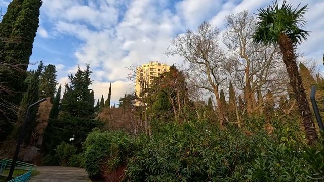 Прогулка с Рыжиком