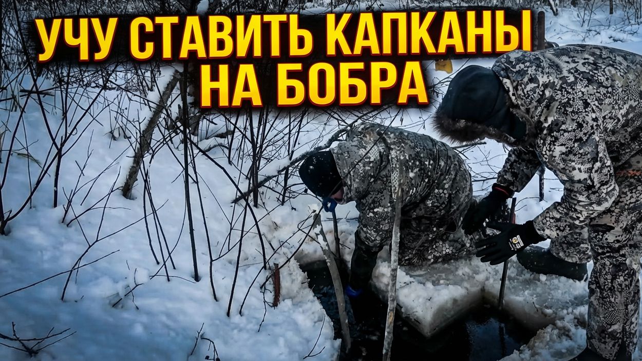 Обучаем установке капканов \ На БОБРА в Верховажье #51.2