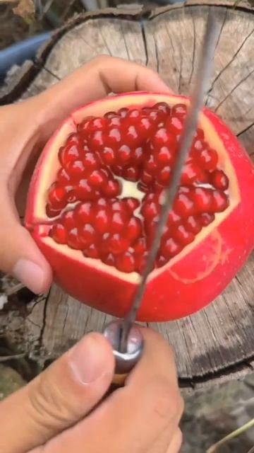 Чистим гранат правильно🍅