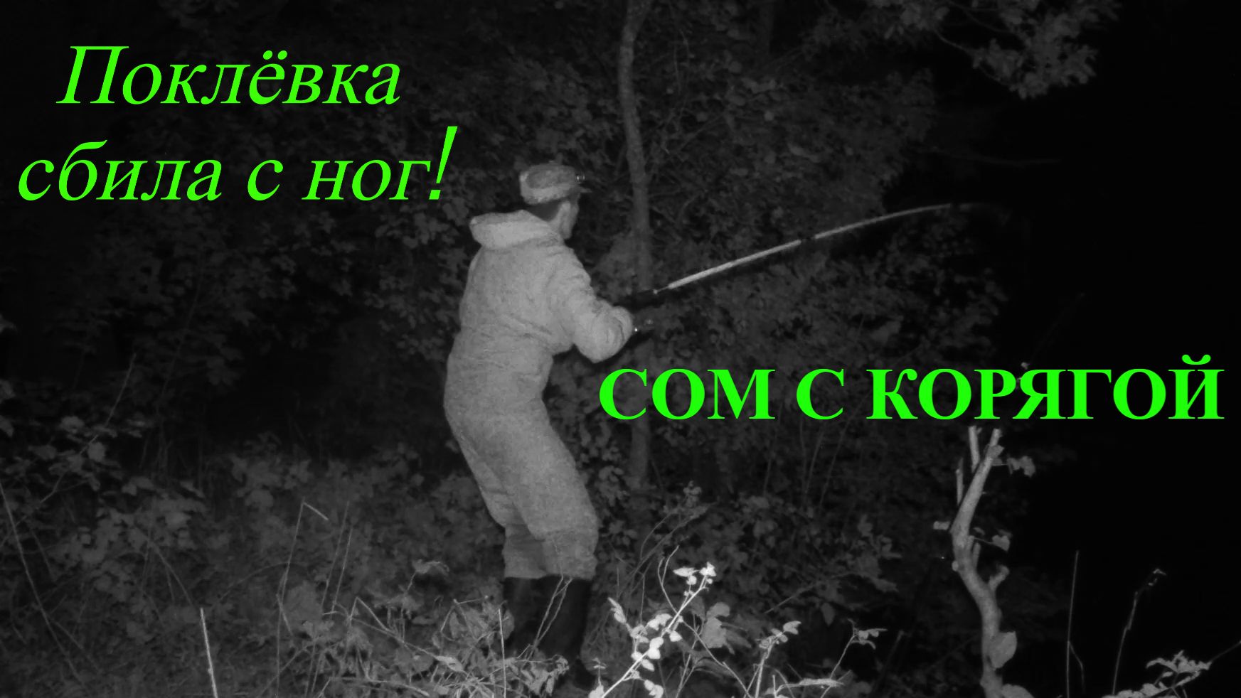 Ночная рыбалка на донку! Ловля сомика ночью на выползка