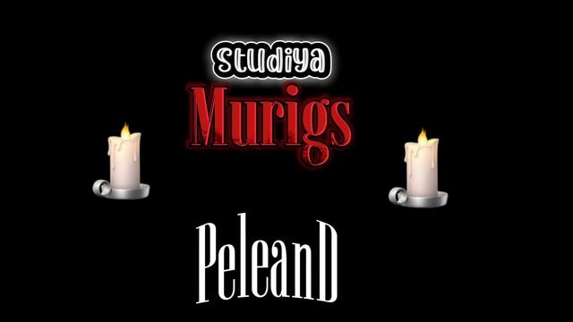 Заставка второго моего канала. Заставка Studiya Murigc - PeleanD (Студия Мурыш - ПельанД).