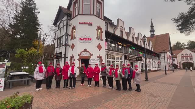 «Зачётные каникулы» в Светлогорске. Осень 2025