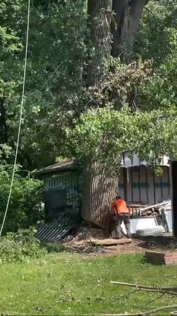 Как начать строительство, чтоб не потерять дом_ #каркасник  #стройка #самостройщик #дерево