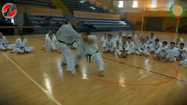 Семинар Масао Кагава 2019 год Венгрия