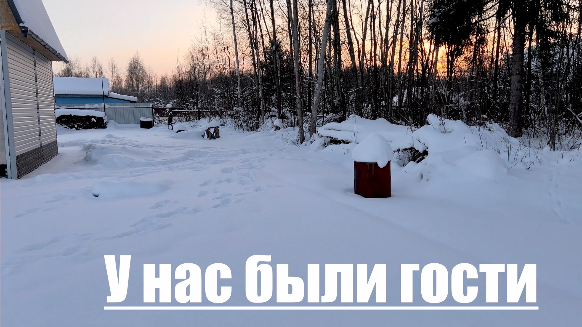 Пока нас небыло, на нашем участке были гости🫎