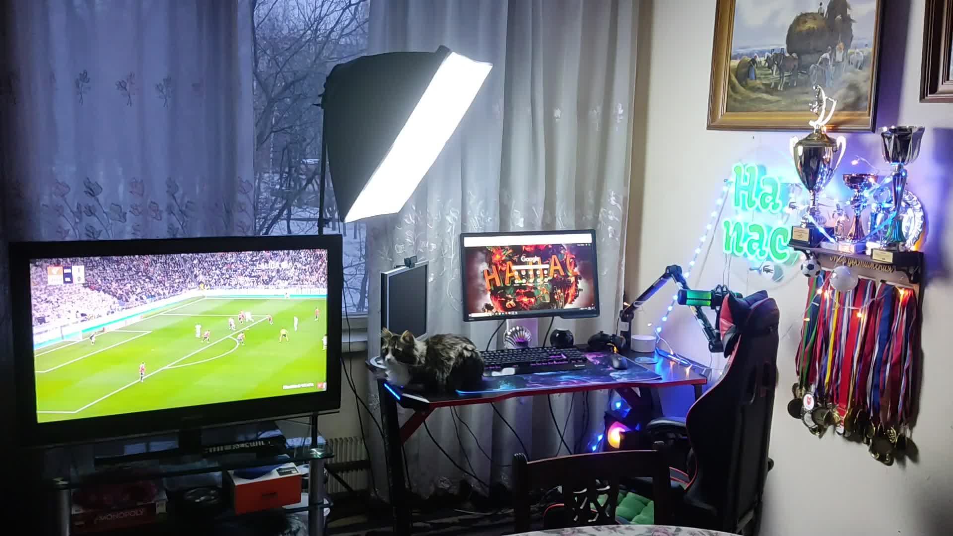 Вечерний стрим | ActiveMatter