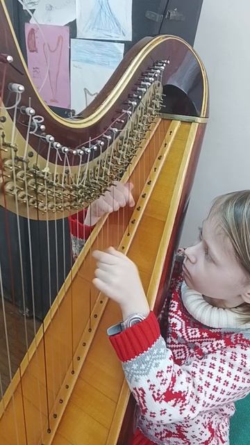 Жучка и кот