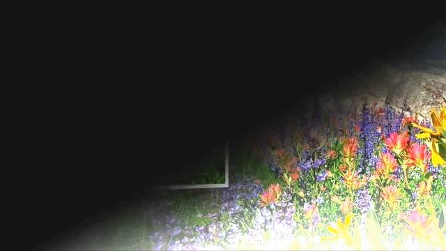 Minich - Narrow Road