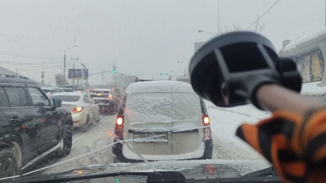 petal_20260127_182413.mp4