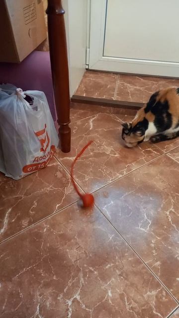 Игрушка электронная мышь со светодиодами