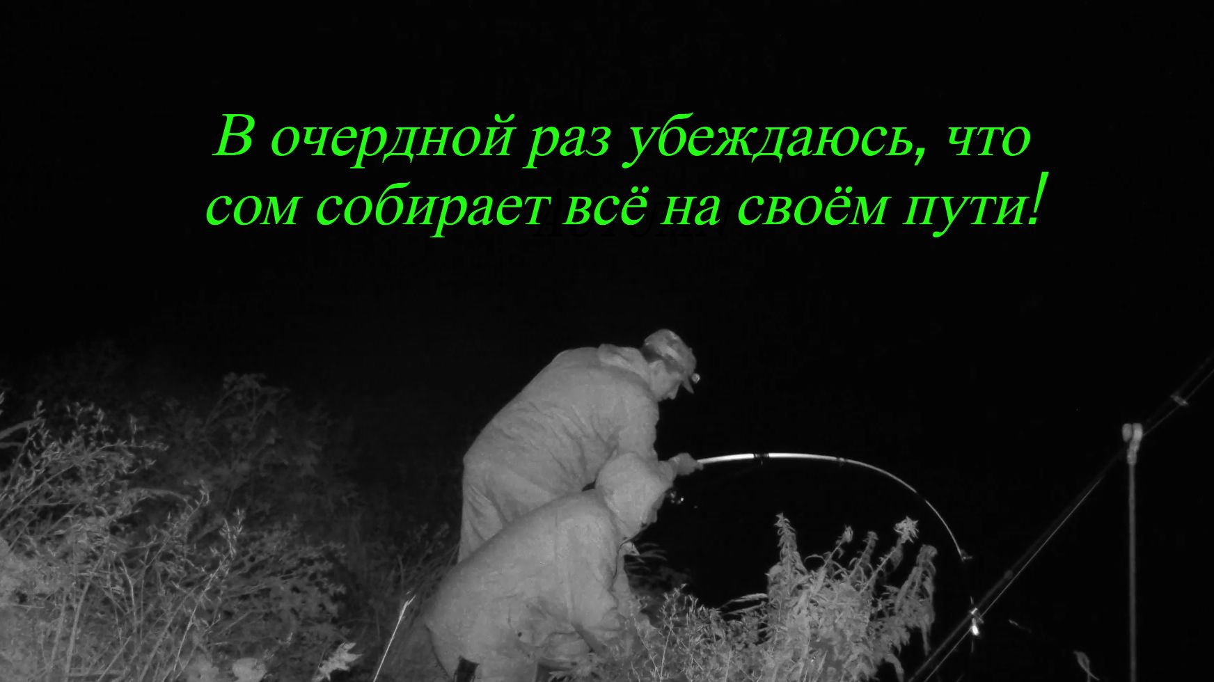 Рыбалка на сома!