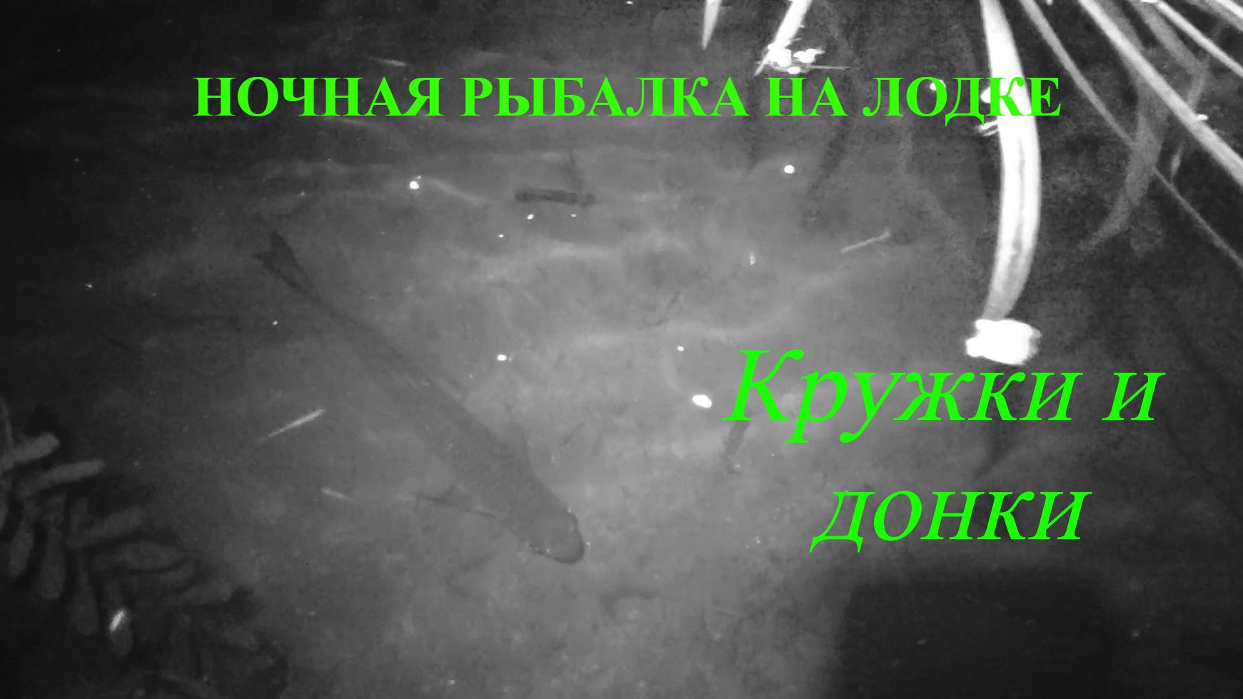 Ночная рыбалка с лодки! Рыбалка на кружки.