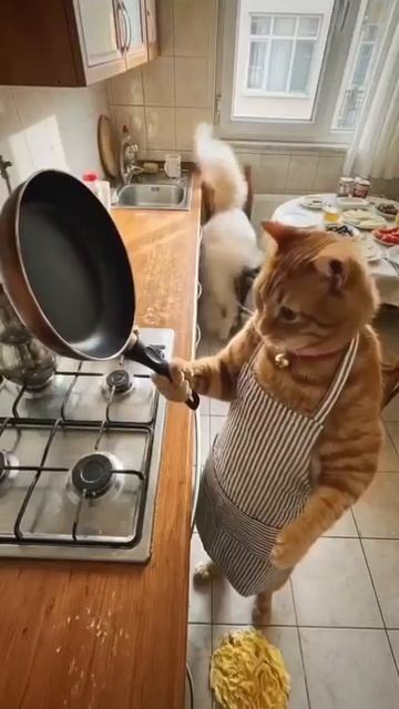 хахвахаххавхпаххпхпхахп