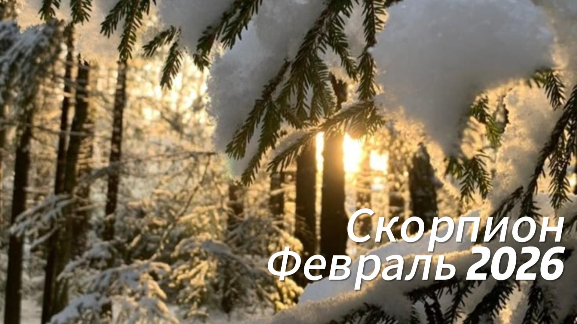Прогноз для Скорпионов на Февраль 2026