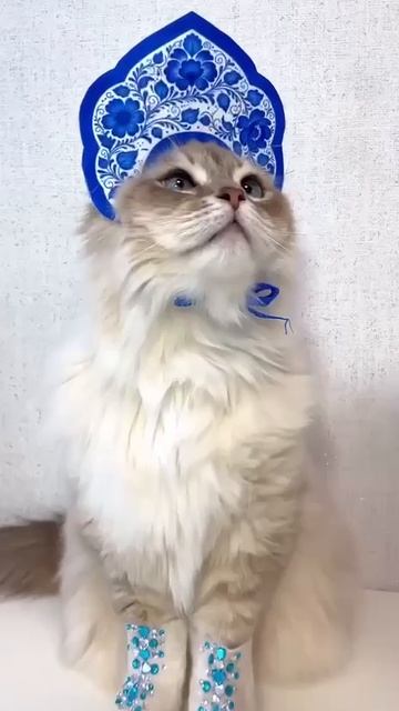 Обычная русская 🐈