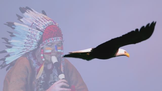 Полёт кондора // Музыкальный калейдоскоп // Евгений Никифоров