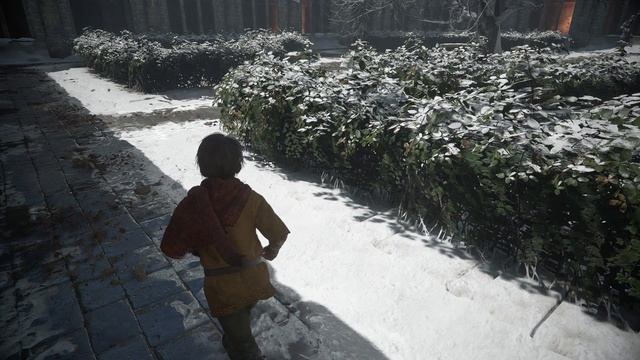 Где найти цветок Черный паслен для гербария Гуго в A Plague Tale: Innocence