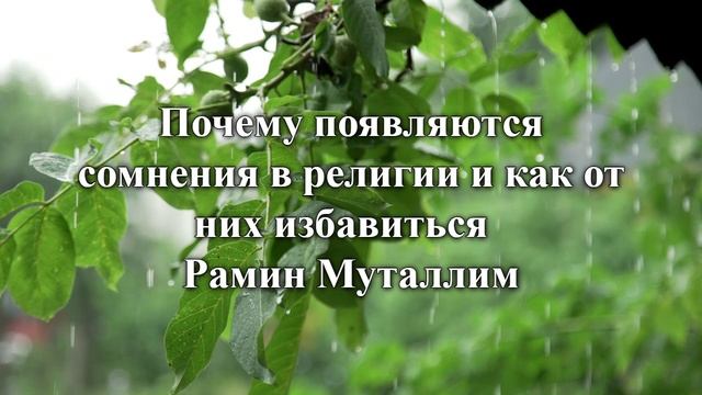 Почему появляются сомнения в религии и как от них избавиться  Рамин Муталлим