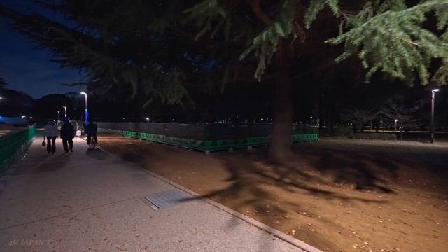 Токио, Япония - Ночная прогулка по Сибуе от холмов Омотесандо