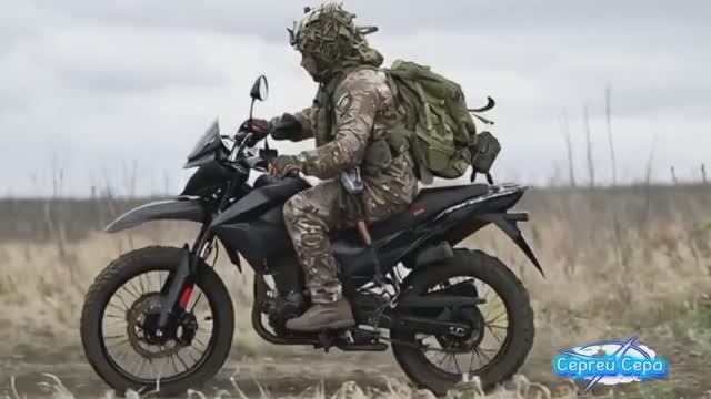 Суровая война