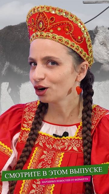 Питре бьет рекорды по надоям. Народные новости.