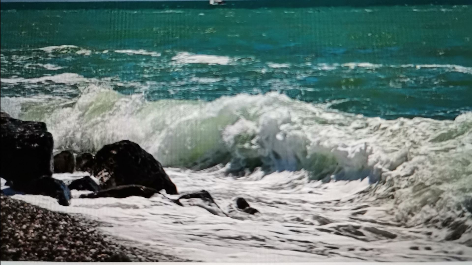 Чёрное море моё