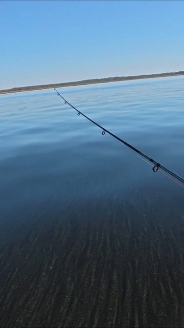 Ладога рыбалка