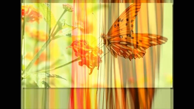 Mr.Nobody - Is Not Fear