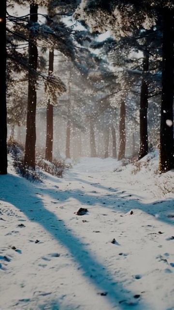 Брамс сл А Фоминых