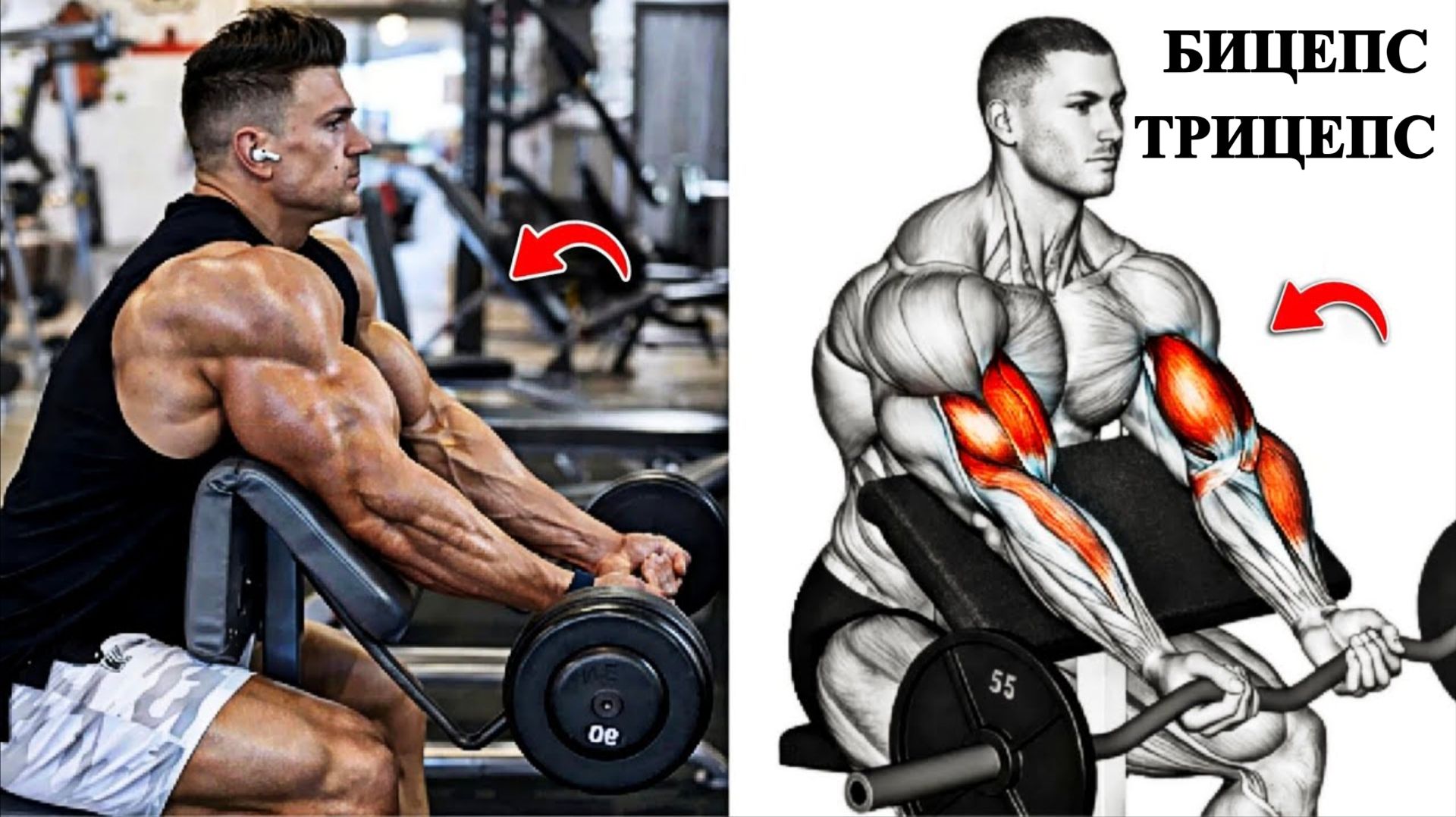 8 Лучших Упражнений Для Рук Которые Помогут Развить Массу Силу и Рельефность 💪