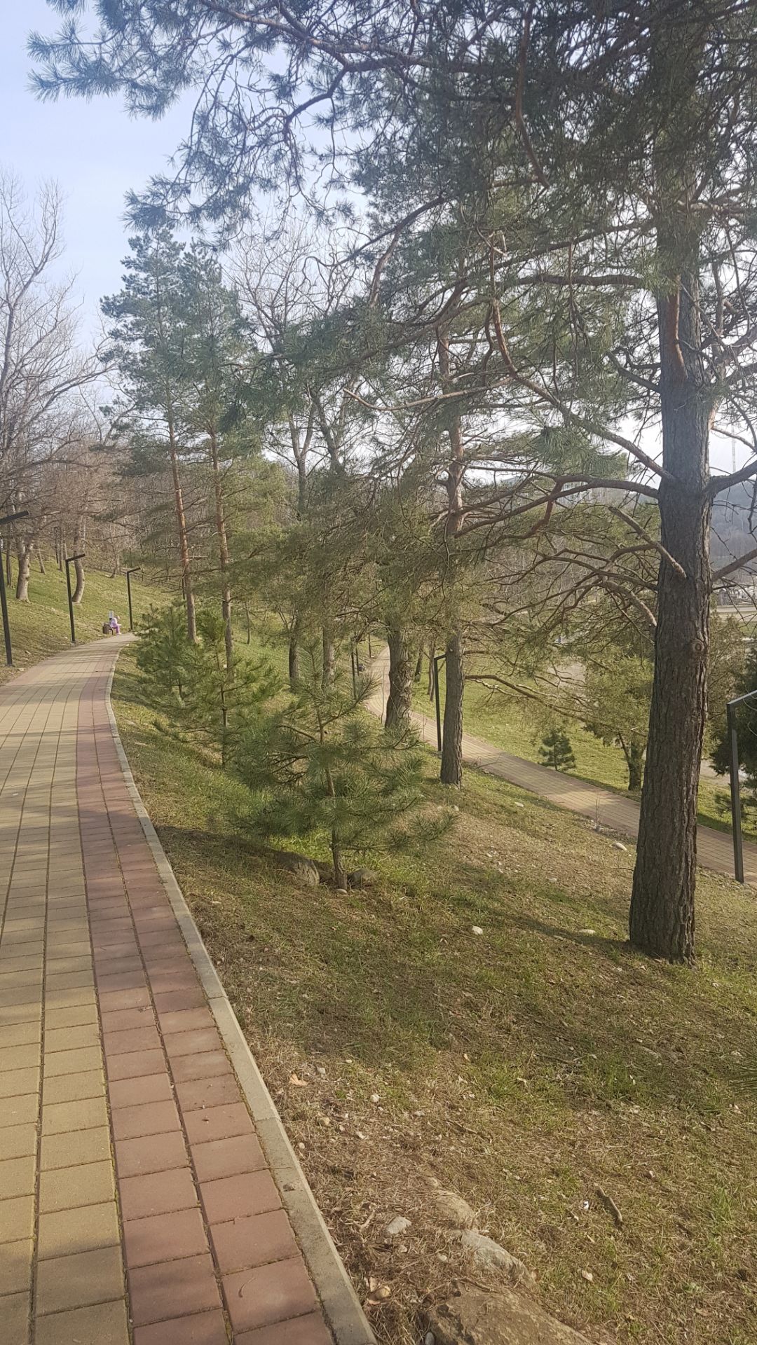 🍂 Это видео — медитативная прогулка по старому парку, снятая с неожиданных ракурсов