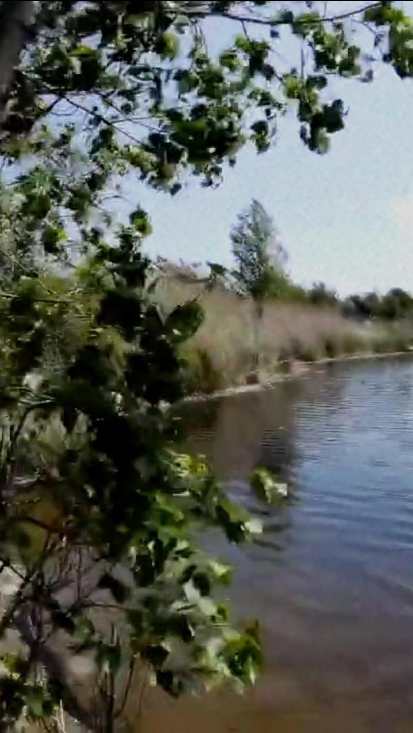 Покой на побережье