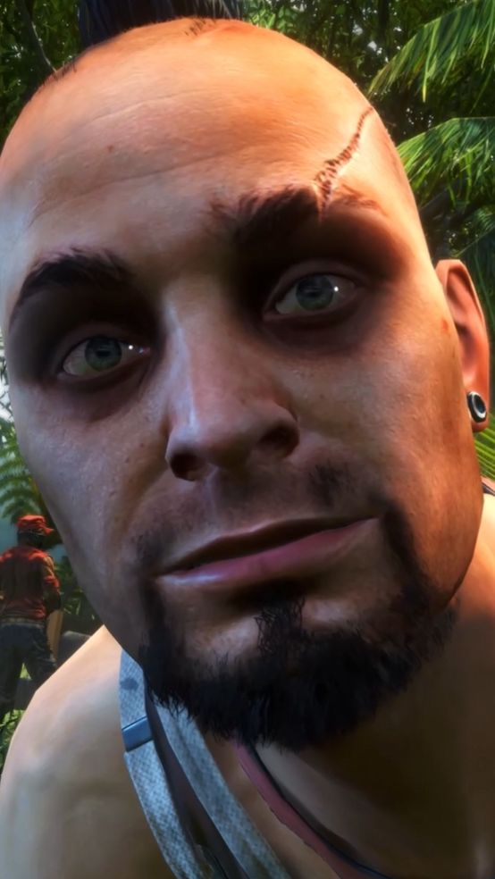 Far cry 3  Безумие