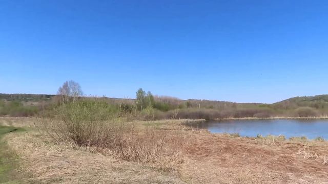 Бурундучок по осени. Намывался.