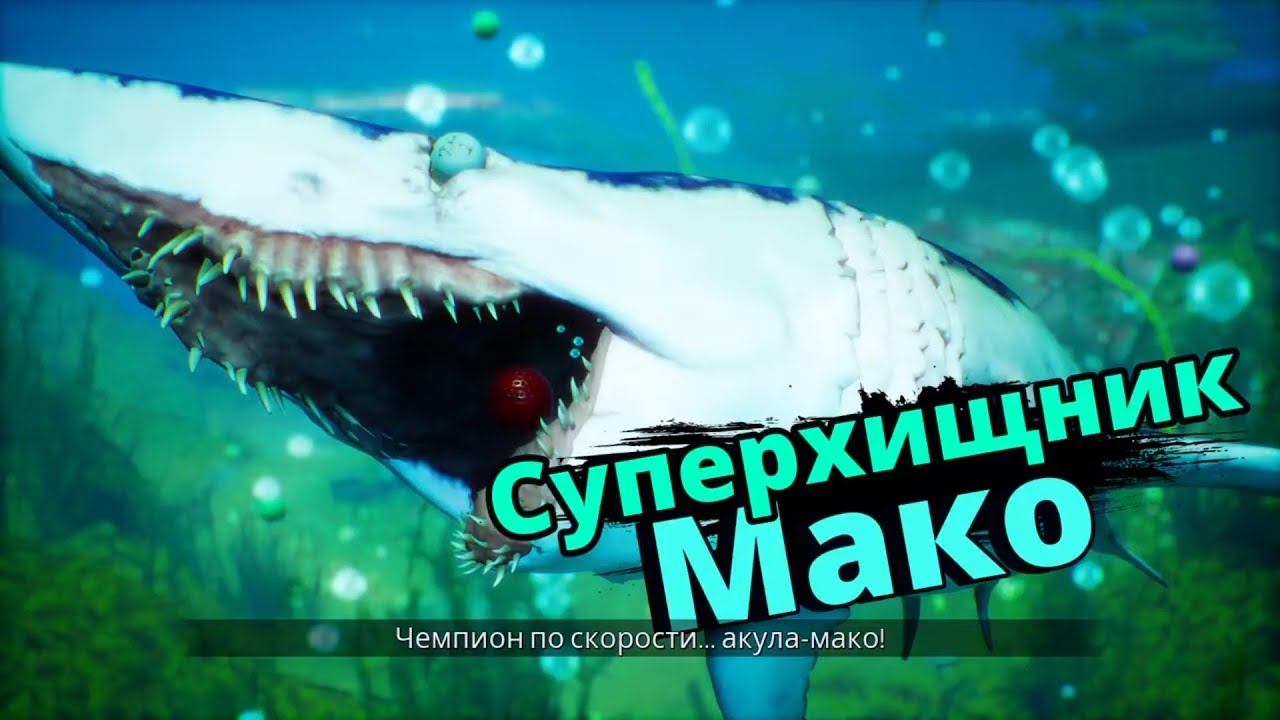 Прохождение игры Maneater #4 Лунка на нем. Прям повезло (без комментариев)