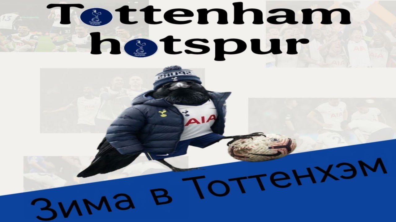 Карьера за Тоттенхэм №6