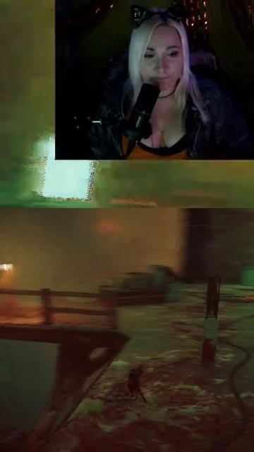 Беги котик ( Stray )