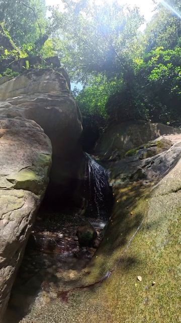 Свирское ущелье. Лазаревское. Сочи. Август 2025. INSTA360 X5. Ч29.